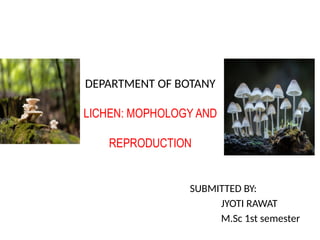 lichen and it's morphology and reproduction | PPT