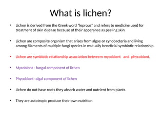 lichen and it's morphology and reproduction | PPTX