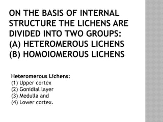 lichen classification of Present in Pakistan | PPTX
