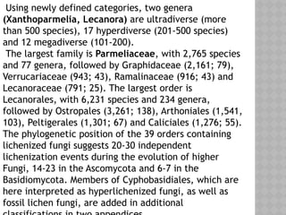 lichen diversity present in all ovver the world | PPTX