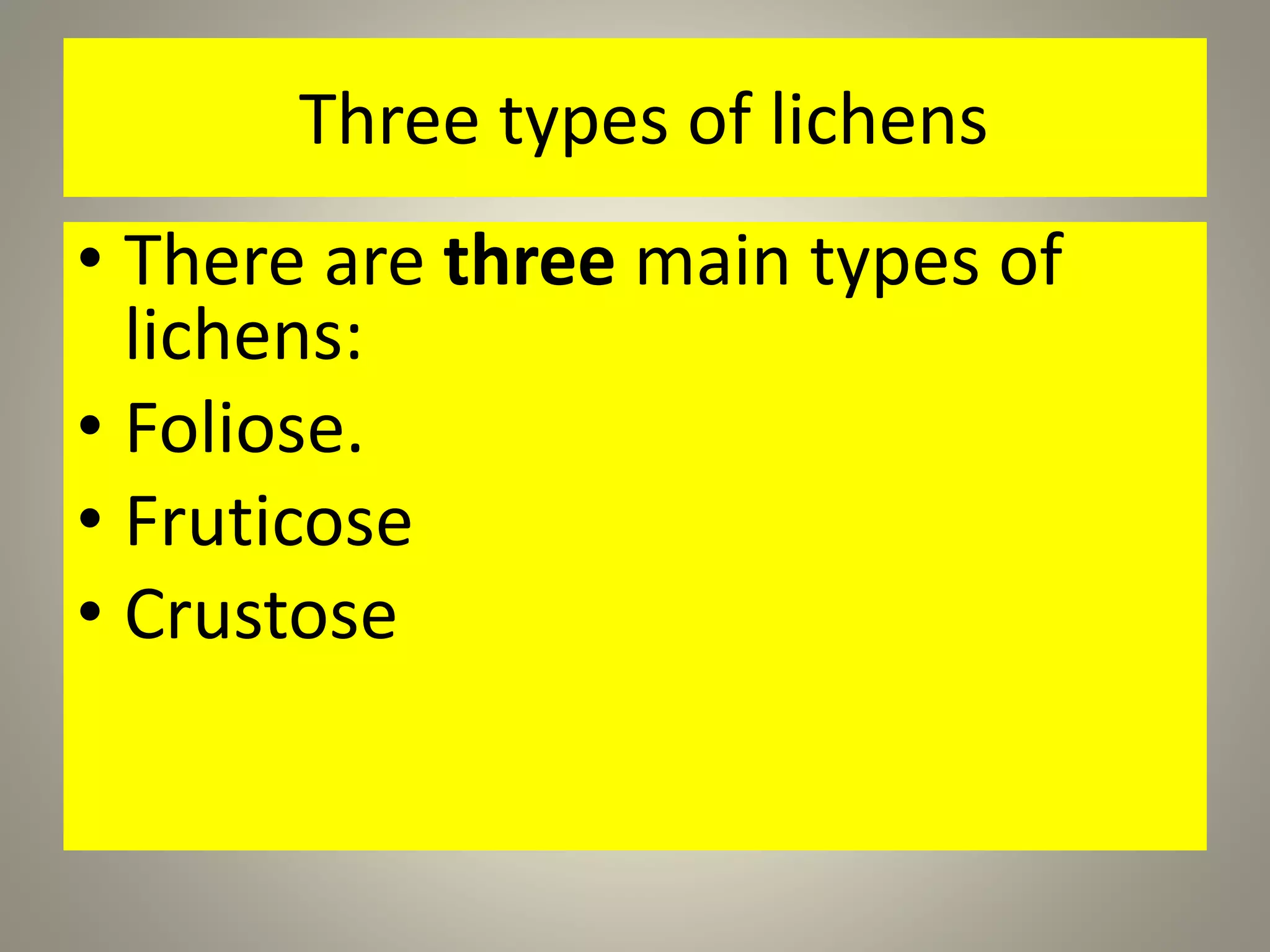 Lichens 1 | PPTX