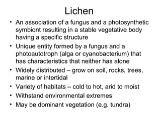 Lichens | PPT