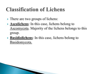 Lichens | PPTX