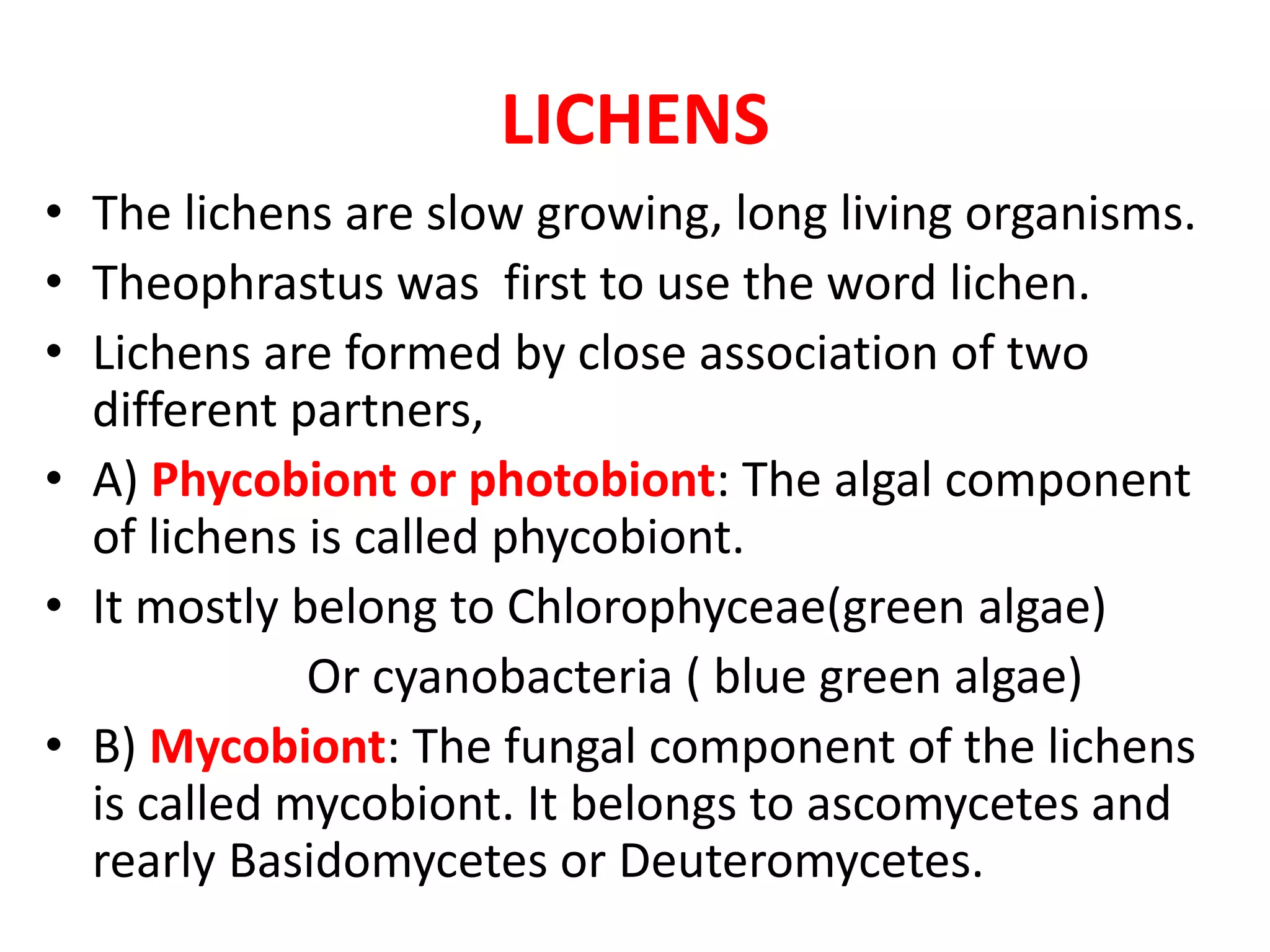 Lichens | PPT