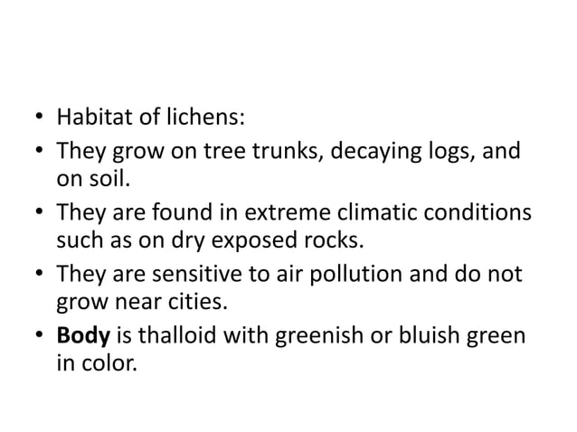 Lichens | PPT