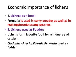 Lichens | PPT