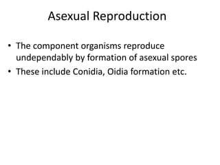 Lichens | PDF | Biological Sciences | Science