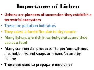Lichens | PDF | Biological Sciences | Science
