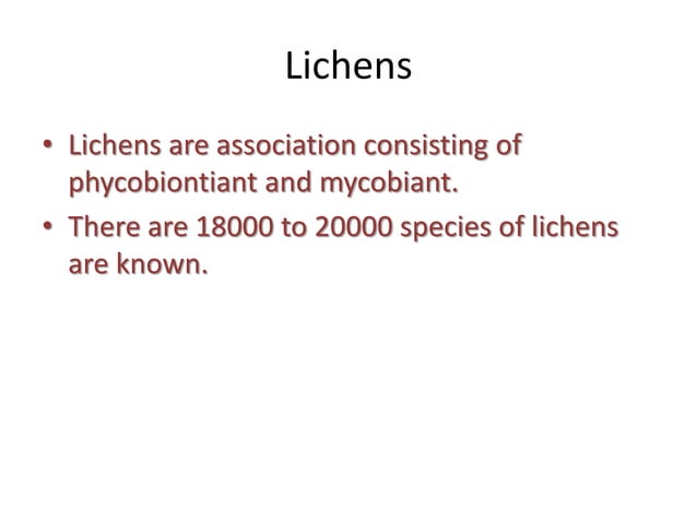 Lichens | PPT