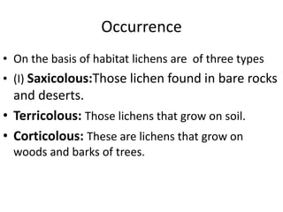 Lichens | PDF | Biological Sciences | Science