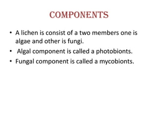 Lichens | PDF