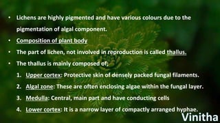 Lichens | PPTX