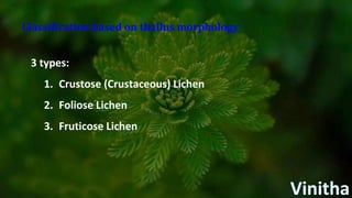 Lichens | PPTX
