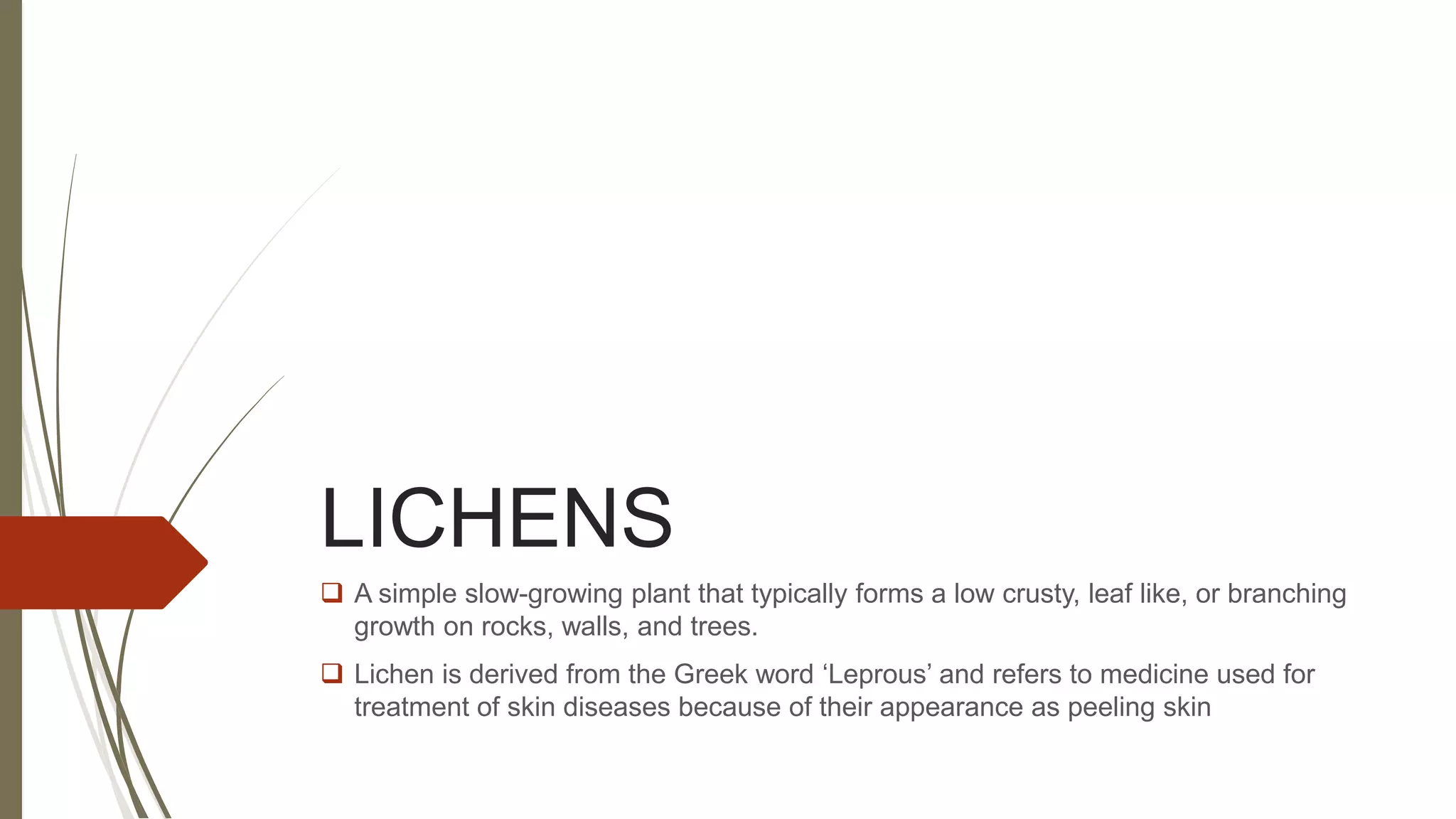 Lichens | PPTX | Science