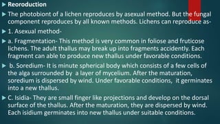 Lichens | PPT
