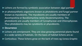 Lichens | PPTX