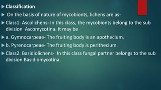 Lichens | PPTX