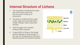 Lichens.pptx | Biological Sciences | Science