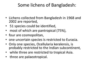 Lichens description bioaccumulations.pptx