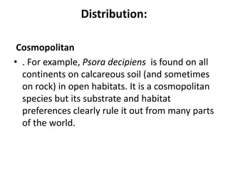 Lichens description bioaccumulations.pptx