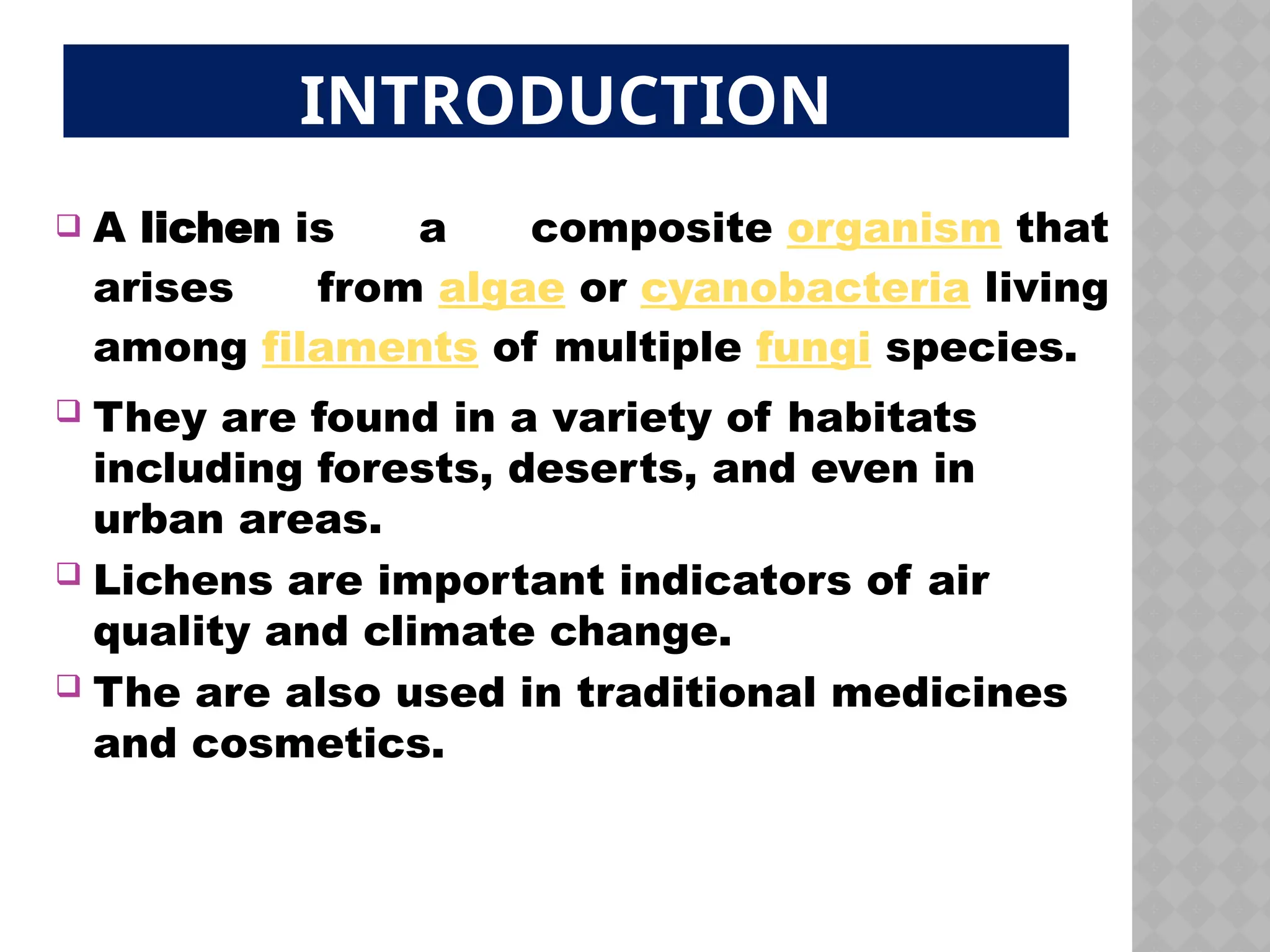 conservation and culture of lichens, types of liches | PPTX | Geography | Science