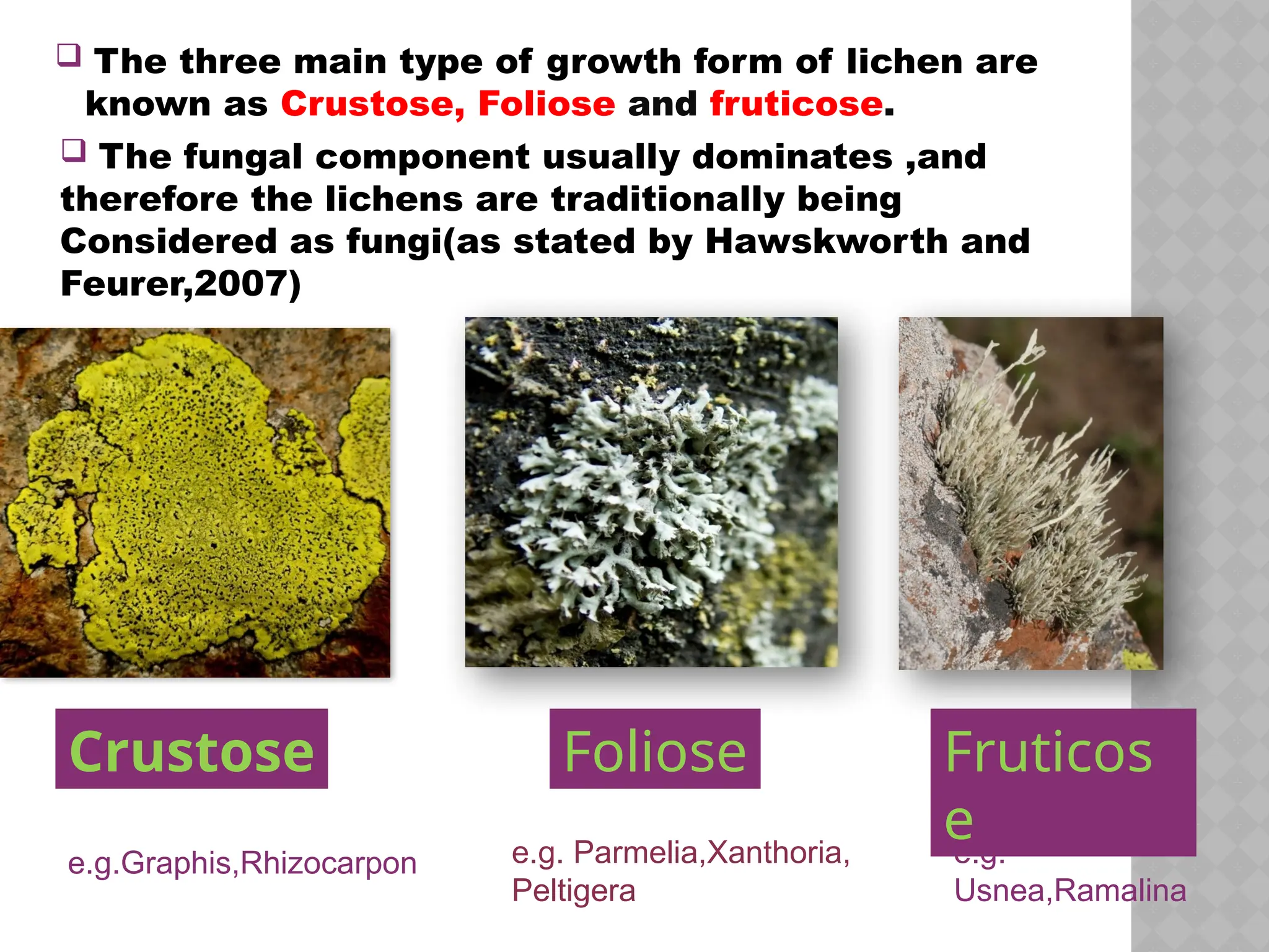 conservation and culture of lichens, types of liches | PPTX | Geography ...