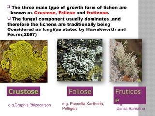 conservation and culture of lichens, types of liches | PPTX | Geography | Science