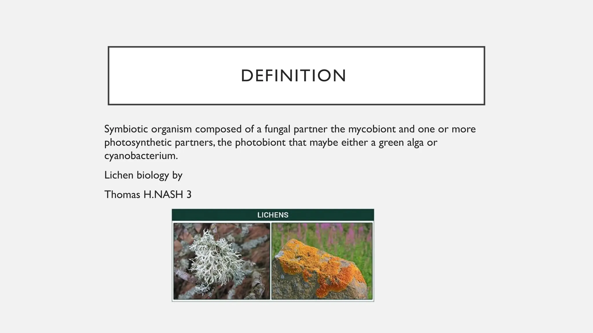 Study of lichens of Pakistan their visuals and appearance | PPTX