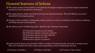 Lichens main features & their applications | PPTX
