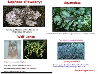 Lichens sturcture, classification and reproduction | PPT