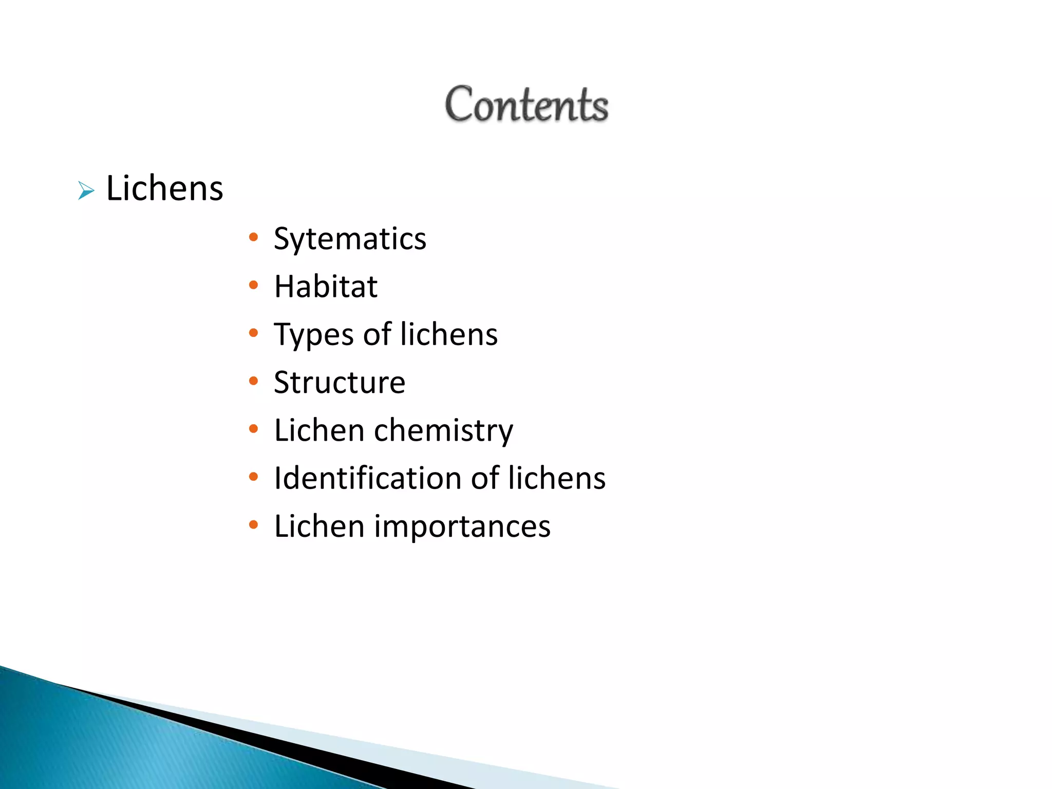 basics of Lichens | PPTX