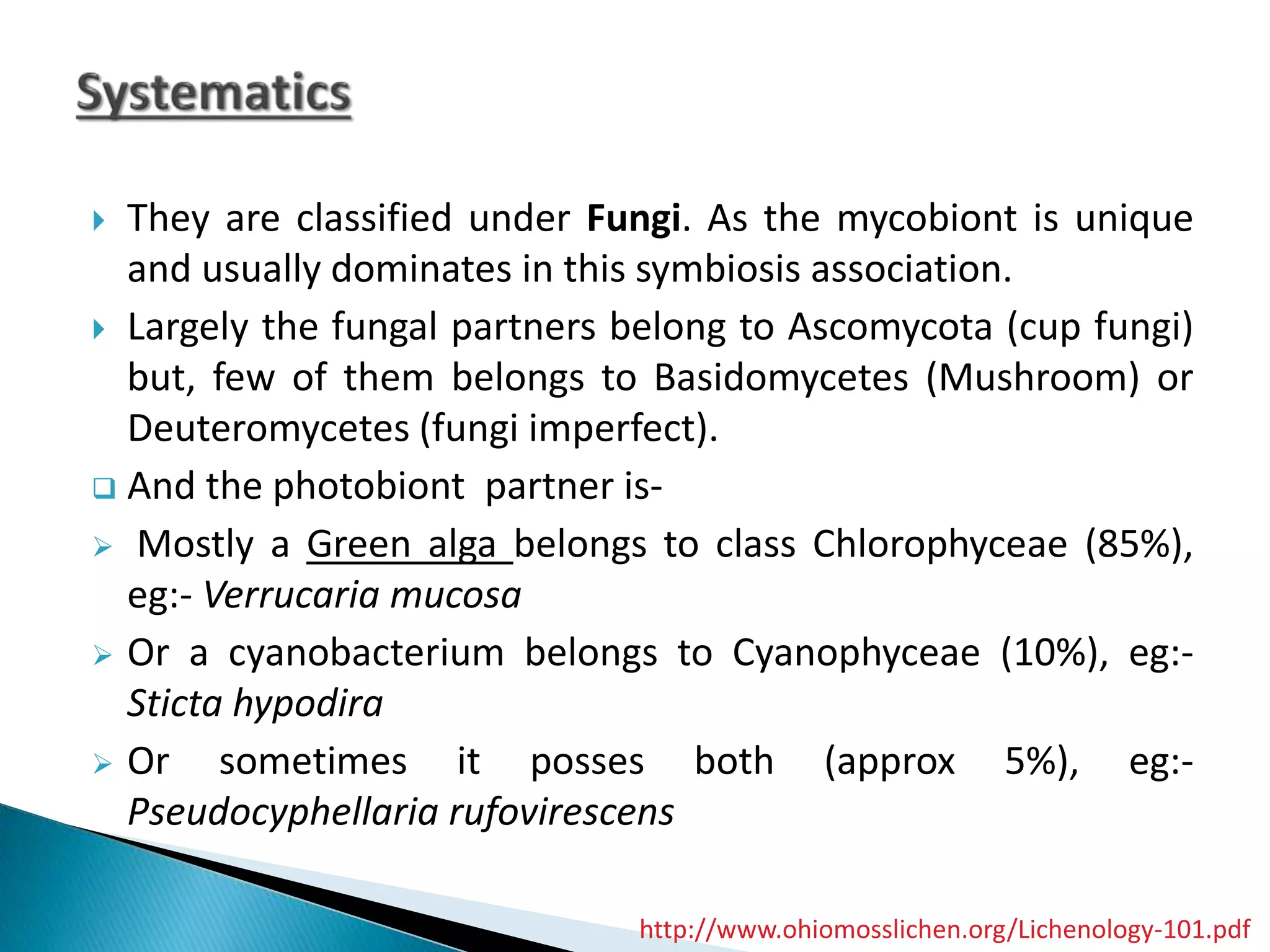 basics of Lichens | PPTX