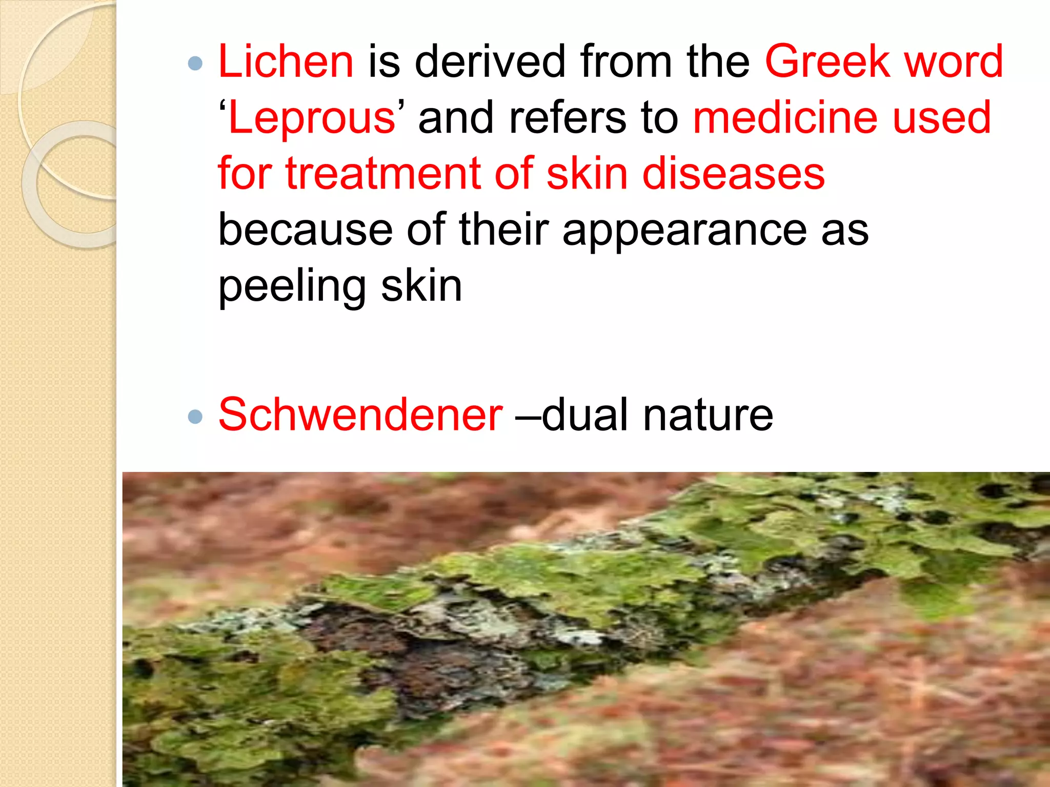 Lichens ppt | PPTX