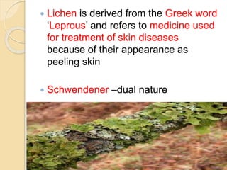 Lichens ppt | PPTX