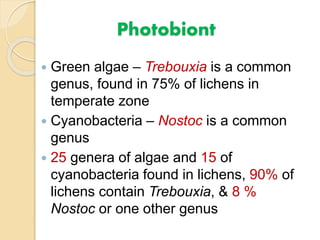 Lichens ppt | PPTX