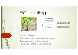 Invention of Carbon 13 Dating and Molecular Chronology | PDF
