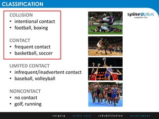 Guidelines for return to sport after cervical trauma | PPT