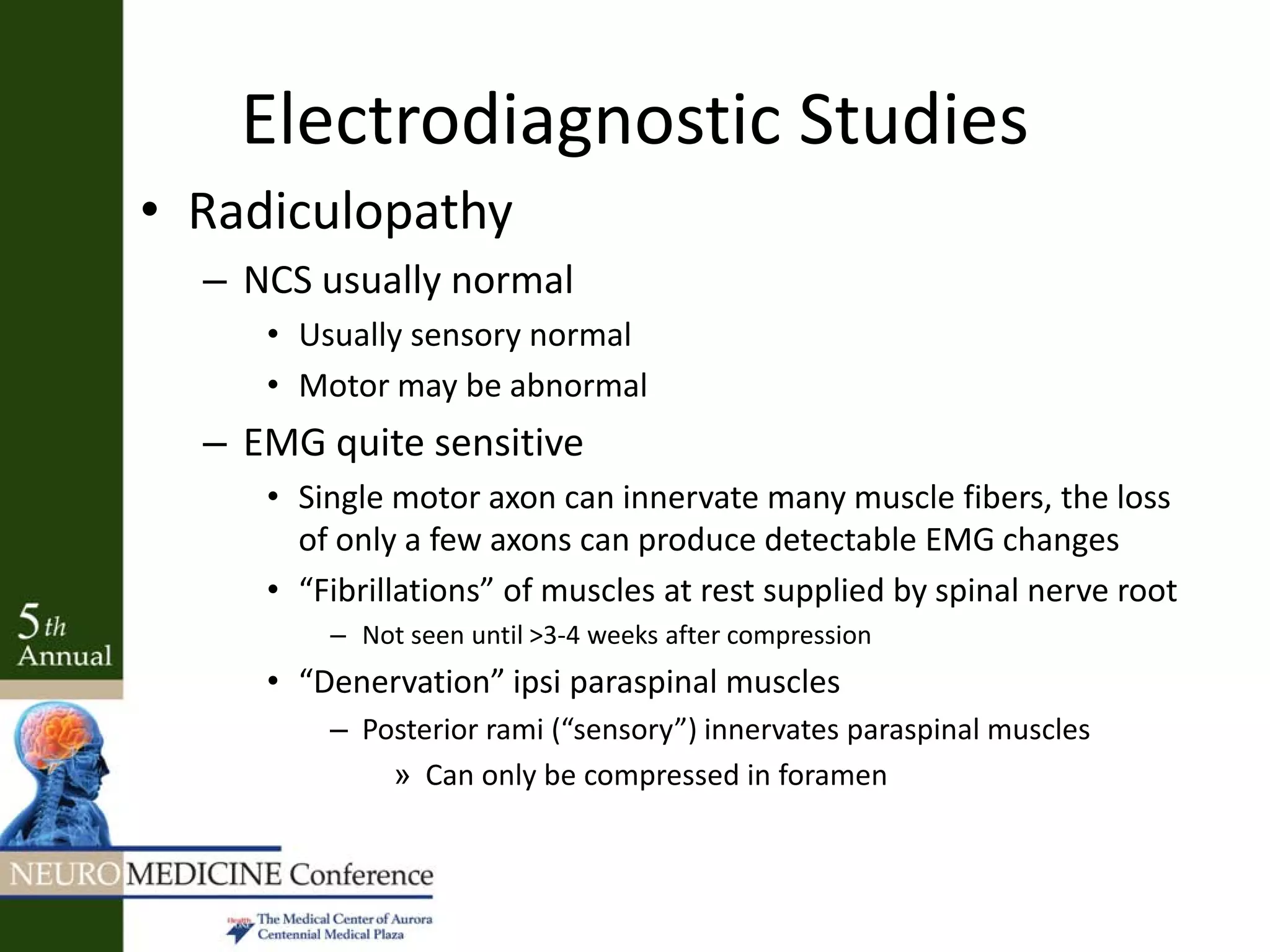 Radiculopathy vs peripheral neuropathy | PDF