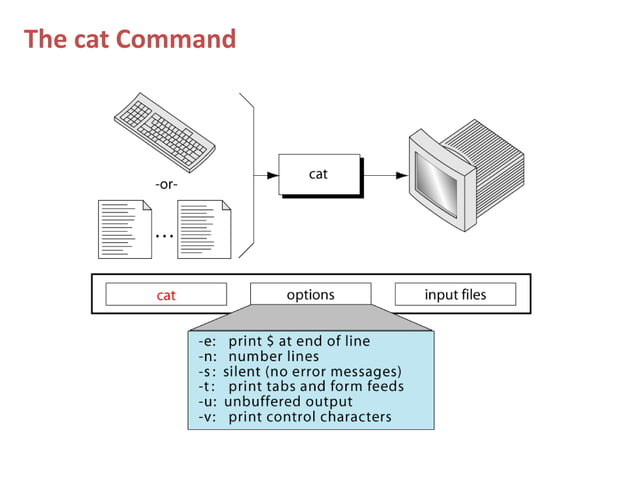 Licão 06 process text streams with filters | PPT