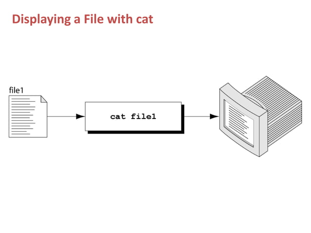 Licão 06 process text streams with filters | PPT