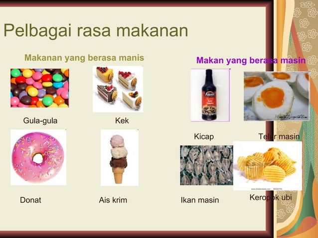 Lidah | PPT