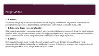 struktur anatomi alat indar manusia - lidah.pptx