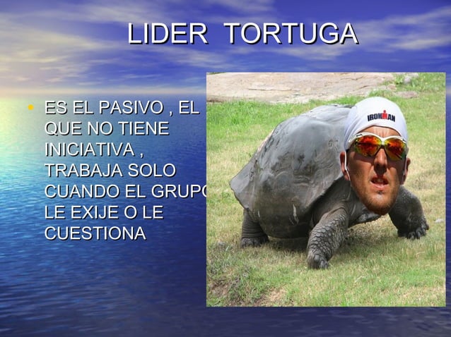 Lider democratico o facilitador[1] | PPT