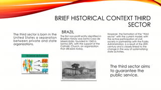 third sector | PPT
