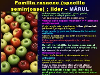Liderii alimentelor-alimentele cele mai sanatoase | PPS