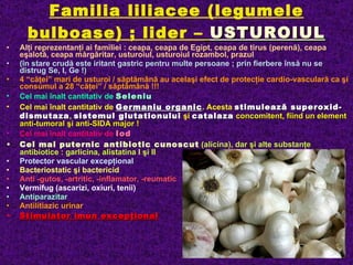 Liderii alimentelor-alimentele cele mai sanatoase | PPS