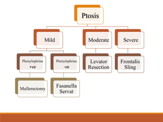 lid examiantion.pptx