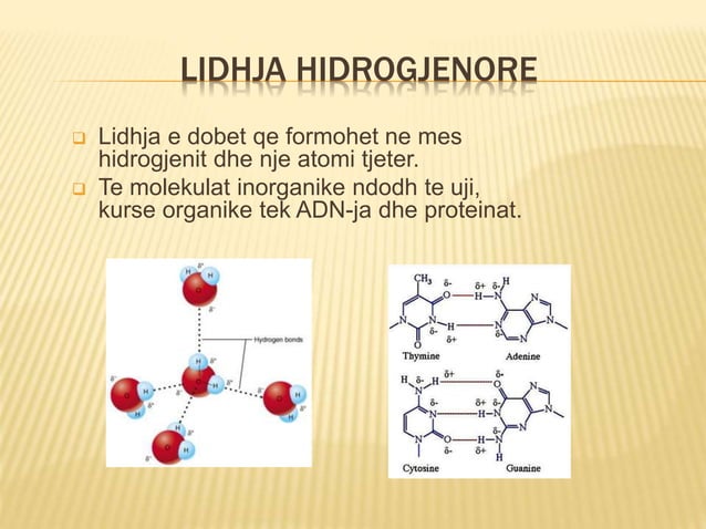 Lidhjet atomike dhe molekulare | PPT