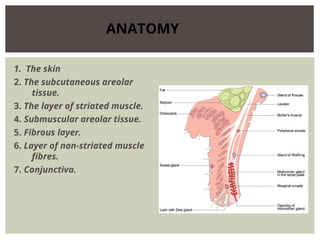 lid margin anomalies and lid aperture disorders.ppt
