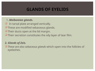 lid margin anomalies and lid aperture disorders.ppt